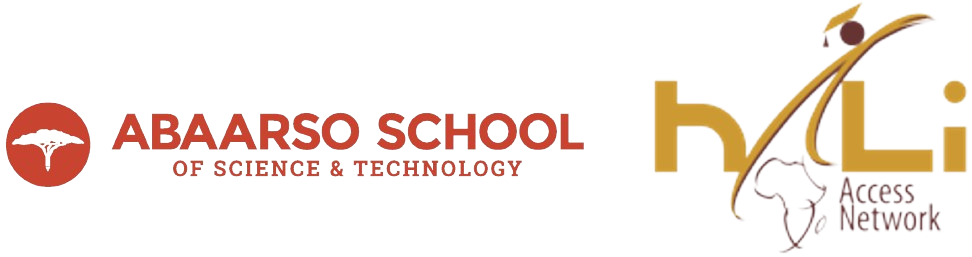 Abaarso School of Science and Technology - Global Mentorship Initiative