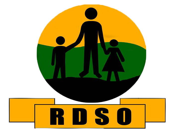 Relief and Development Support Organization - Global Mentorship Initiative