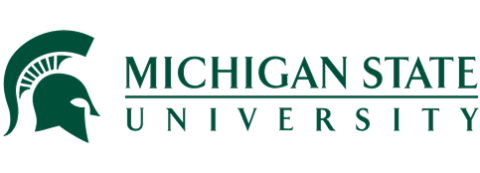 Home - Global Mentorship Initiative